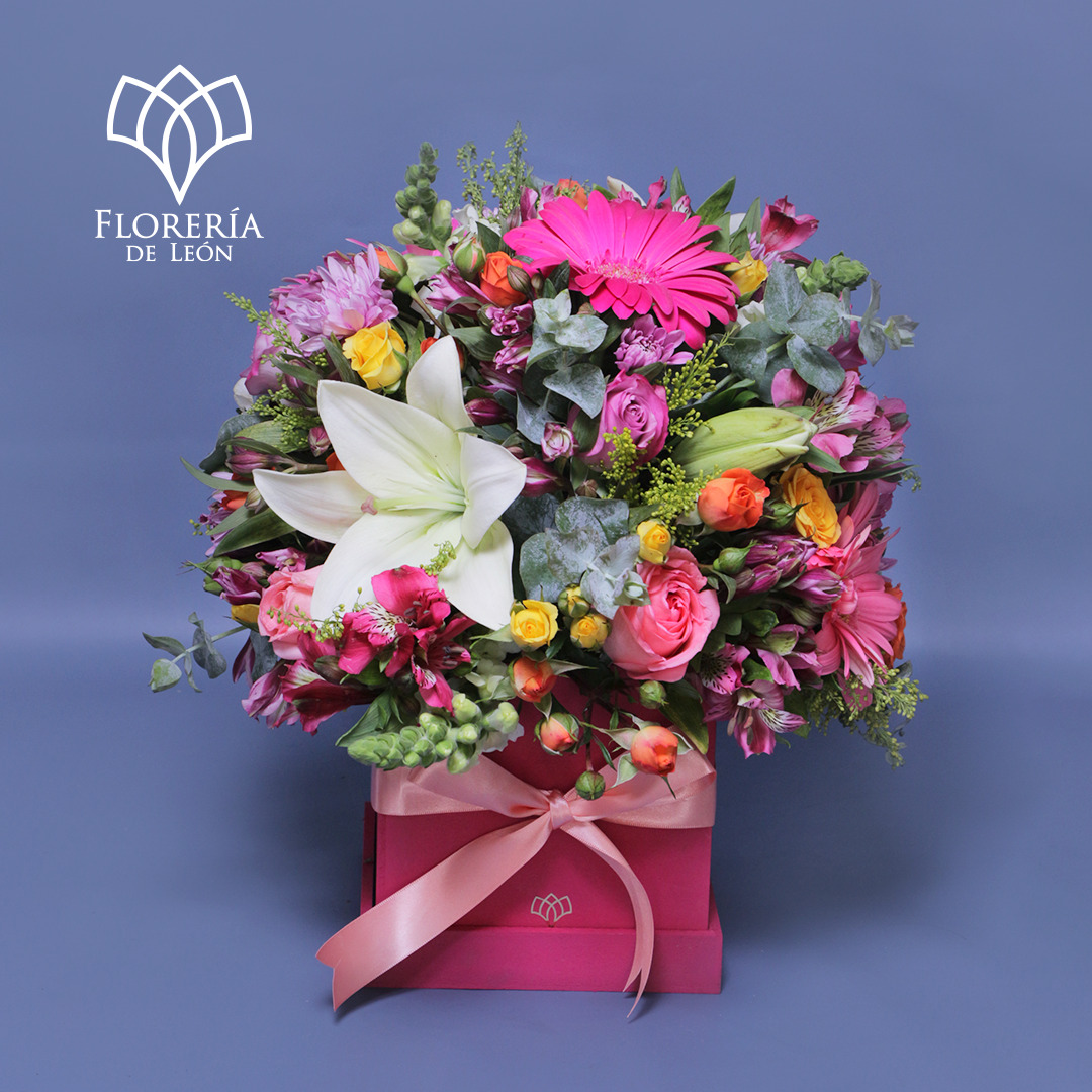 Inicio - Florería de León