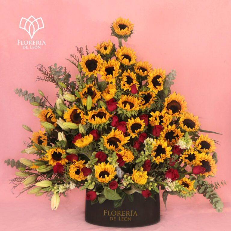 Inicio - Florería de León
