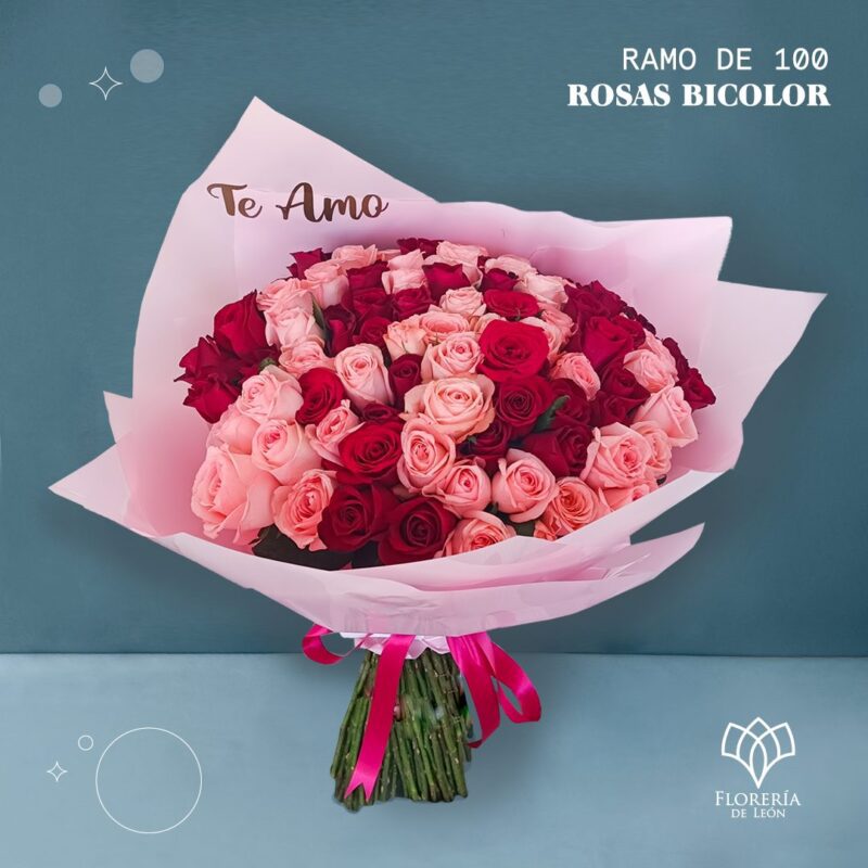 Ramo 100 rosas bicolor - Florería de León