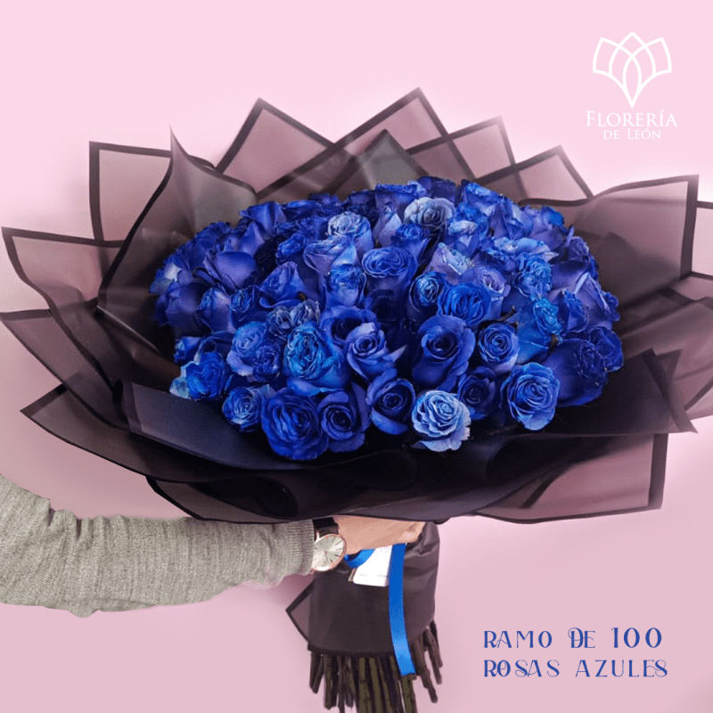 Ramo 100 rosas azules - Florería de León